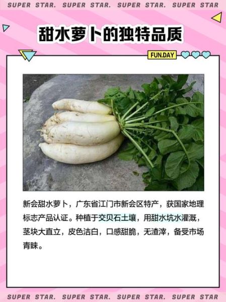 水萝卜怎么保存时间长_水萝卜生吃还是熟吃好-第3张图片-山城妙识