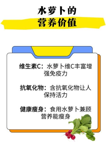 水萝卜怎么保存时间长_水萝卜生吃还是熟吃好-第2张图片-山城妙识