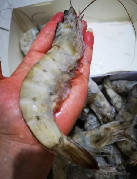 白水煮大虾怎么煮好吃_白水煮虾冷水还是热水下锅-第1张图片-山城妙识