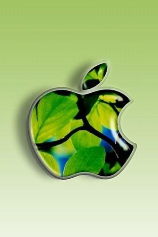 刺猬猫下载_怎么安装到手机-第2张图片-山城妙识