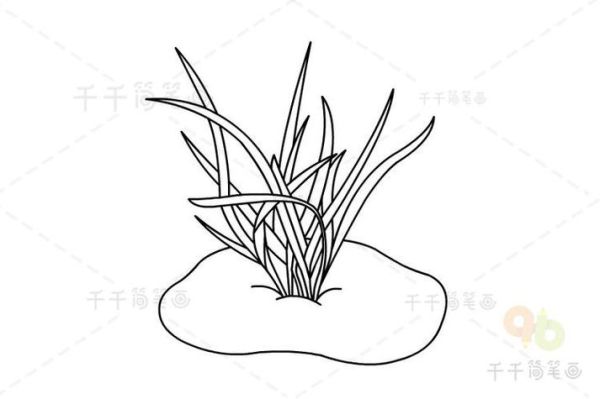 韭菜简笔画怎么画_韭菜图片简笔画教程-第2张图片-山城妙识 韭菜简笔画怎么画_韭菜图片简笔画教程-第2张图片-山城妙识