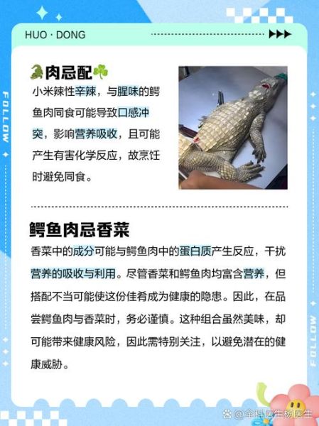 鳄鱼肉怎么吃_鳄鱼肉营养价值-第1张图片-山城妙识