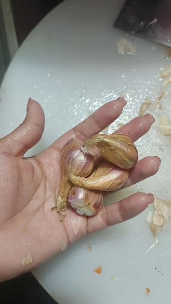 如何切洋葱不流泪_厨房小白也能学会的烹饪小窍门-第3张图片-山城妙识