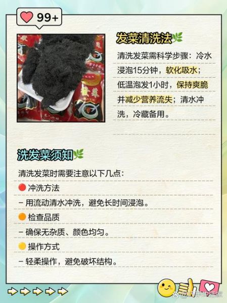 发菜怎么泡发_发菜可以天天吃吗-第2张图片-山城妙识