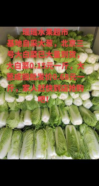 白菜价格行情_今日白菜多少钱一斤-第2张图片-山城妙识