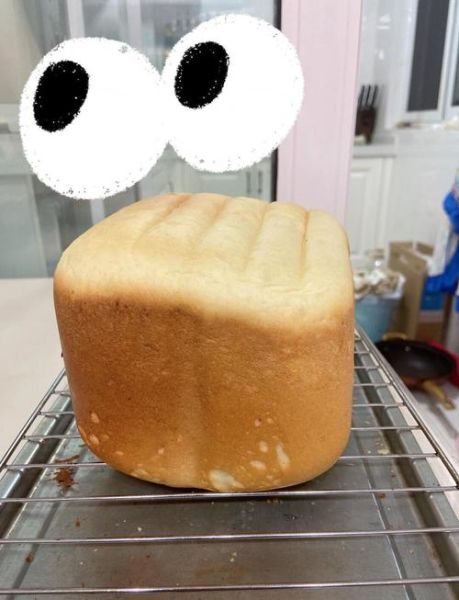 东菱面包机做吐司要多久_东菱面包机食谱新手版-第3张图片-山城妙识 东菱面包机做吐司要多久_东菱面包机食谱新手版-第3张图片-山城妙识