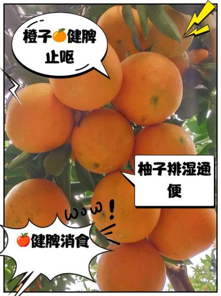 去湿气吃什么食物和水果_湿气重吃什么水果好-第2张图片-山城妙识 去湿气吃什么食物和水果_湿气重吃什么水果好-第2张图片-山城妙识