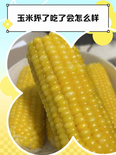 玉米馊了还能吃吗_玉米变质多久会中毒-第3张图片-山城妙识