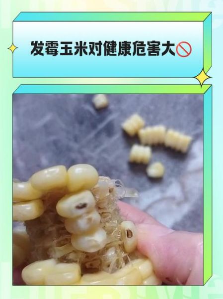 玉米馊了还能吃吗_玉米变质多久会中毒-第1张图片-山城妙识