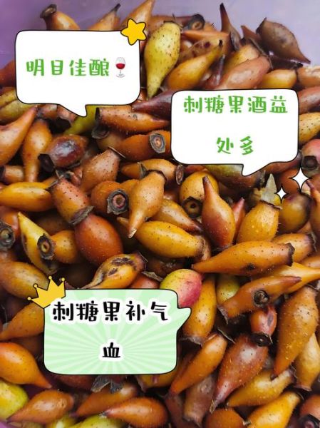 刺果子泡酒的功效与作用_刺果子泡酒怎么泡才有效-第1张图片-山城妙识