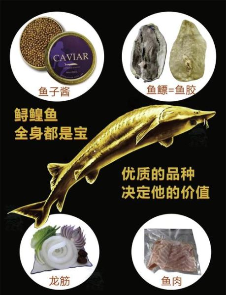 鲟鱼子酱多少钱一克_鲟鱼子酱价格影响因素-第1张图片-山城妙识