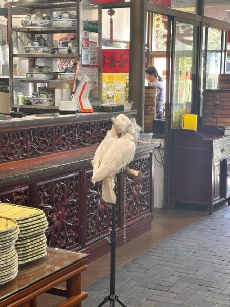 蟹黄包子馅怎么做_蟹黄包子馅配方比例-第1张图片-山城妙识 蟹黄包子馅怎么做_蟹黄包子馅配方比例-第1张图片-山城妙识