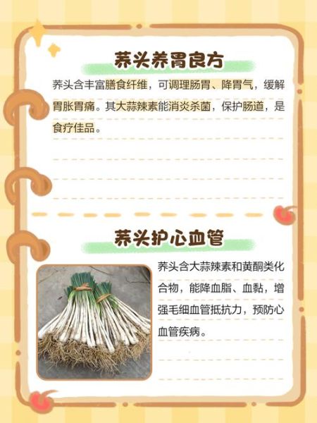 荞头什么时候种最合适_荞头种植最佳时间-第2张图片-山城妙识