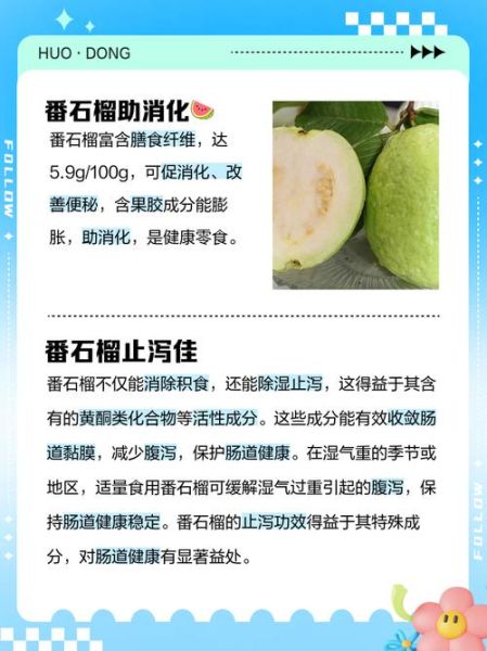 石榴的营养价值与功效作用_石榴怎么吃最营养-第3张图片-山城妙识