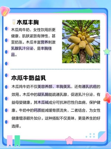 木瓜炖牛奶的功效与禁忌人群_孕妇能吃吗-第2张图片-山城妙识