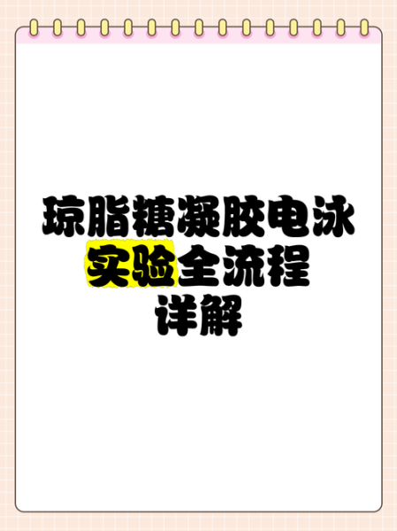 琼脂糖凝胶电泳条带模糊怎么办_琼脂糖凝胶浓度如何选择-第3张图片-山城妙识