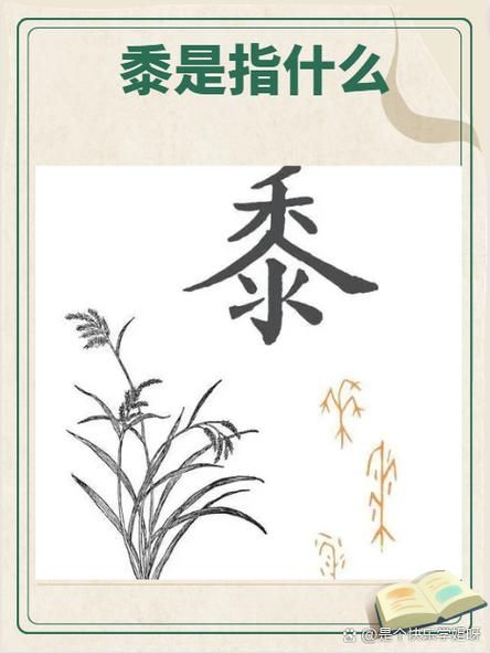 黍稷怎么读_黍稷是什么作物-第3张图片-山城妙识