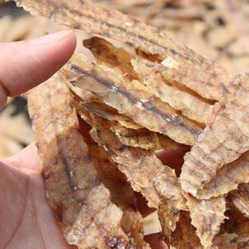 濑尿虾怎么做好吃_濑尿虾和皮皮虾的区别-第2张图片-山城妙识