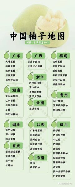 柚子产地在哪里_中国柚子主产区有哪些-第2张图片-山城妙识