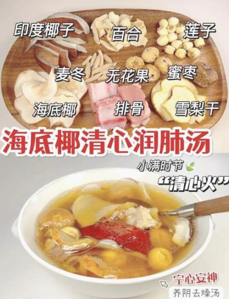 海底椰片的功效与作用_海底椰片怎么吃润肺止咳-第2张图片-山城妙识