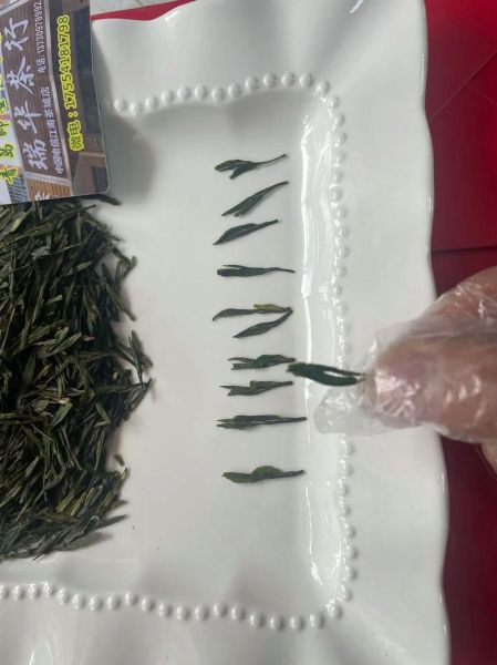 崂山绿茶多少钱一斤_崂山绿茶怎么泡才正宗-第1张图片-山城妙识
