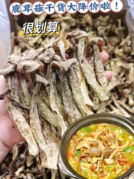 野生干蘑菇怎么泡发_野生干蘑菇怎么做好吃-第3张图片-山城妙识