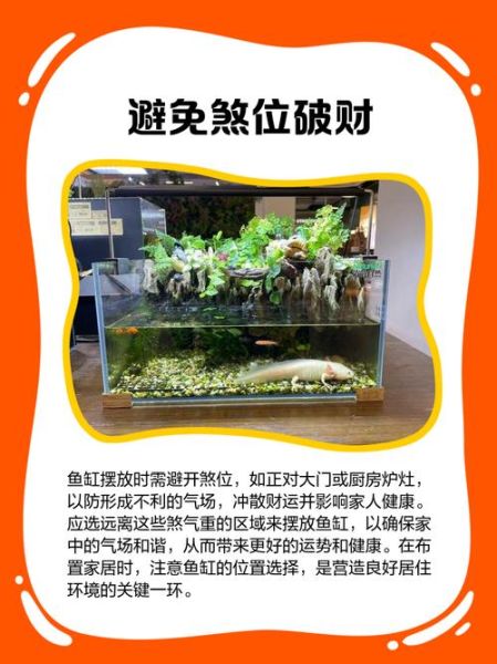 家中养鱼风水禁忌有哪些_鱼缸摆放位置风水讲究-第1张图片-山城妙识