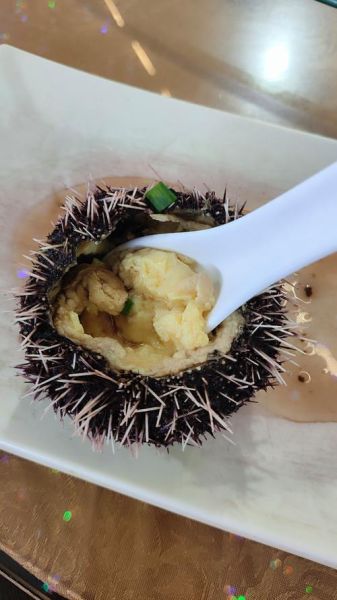 海胆怎么清洗_海胆蒸多久才熟-第2张图片-山城妙识