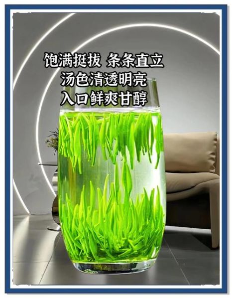 雀舌茶多少钱一斤_雀舌茶价格为什么差别大-第2张图片-山城妙识