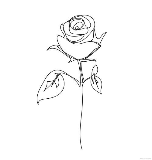 玫瑰花怎么画好看_初学者也能掌握的玫瑰画法-第1张图片-山城妙识 玫瑰花怎么画好看_初学者也能掌握的玫瑰画法-第1张图片-山城妙识