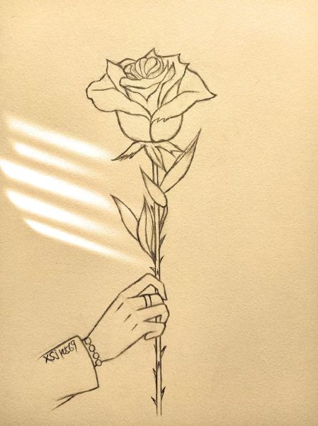 玫瑰花怎么画好看_初学者也能掌握的玫瑰画法-第2张图片-山城妙识 玫瑰花怎么画好看_初学者也能掌握的玫瑰画法-第2张图片-山城妙识