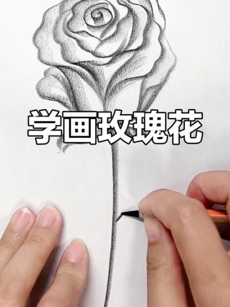 玫瑰花怎么画好看_初学者也能掌握的玫瑰画法-第3张图片-山城妙识 玫瑰花怎么画好看_初学者也能掌握的玫瑰画法-第3张图片-山城妙识