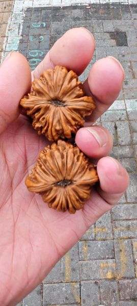 核桃5年只刷不盘会坏吗_如何补救-第1张图片-山城妙识