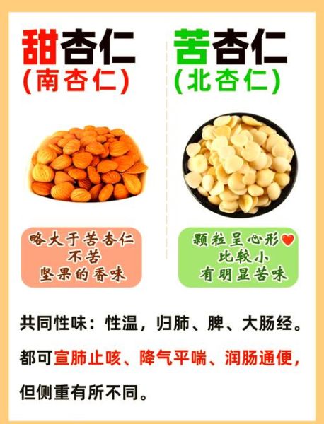 杏仁止咳平喘怎么吃_苦杏仁与甜杏仁区别-第1张图片-山城妙识