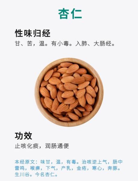杏仁止咳平喘怎么吃_苦杏仁与甜杏仁区别-第3张图片-山城妙识