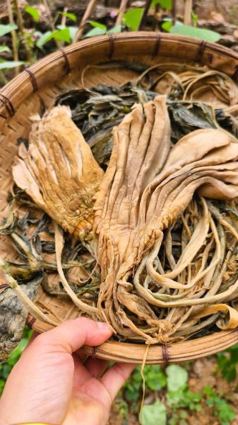 大头菜图片大全集_如何挑选新鲜大头菜-第1张图片-山城妙识