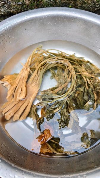 大头菜图片大全集_如何挑选新鲜大头菜-第2张图片-山城妙识