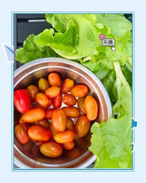 番茄酱怎么熬成汁_番茄酱熬制技巧-第3张图片-山城妙识 番茄酱怎么熬成汁_番茄酱熬制技巧-第3张图片-山城妙识