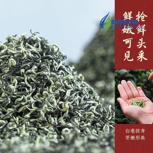 十大绿茶种类图片大全_如何辨别正宗龙井与碧螺春-第2张图片-山城妙识