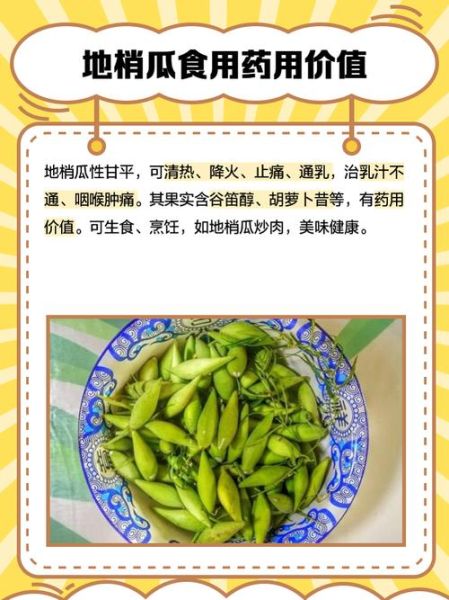 梢瓜的功效与作用_梢瓜怎么吃最养生-第1张图片-山城妙识