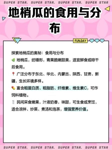 梢瓜的功效与作用_梢瓜怎么吃最养生-第3张图片-山城妙识