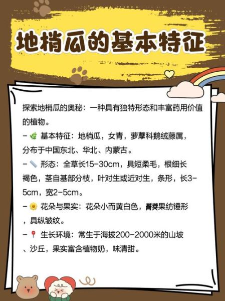 梢瓜的功效与作用_梢瓜怎么吃最养生-第2张图片-山城妙识