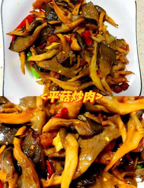 平菇炒肉片怎么炒才嫩_平菇炒肉片家常做法步骤-第1张图片-山城妙识 平菇炒肉片怎么炒才嫩_平菇炒肉片家常做法步骤-第1张图片-山城妙识