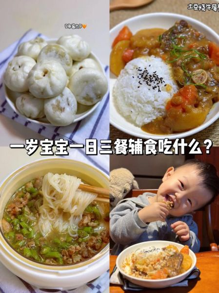 一周岁宝宝辅食标准_一周岁宝宝辅食吃什么好-第2张图片-山城妙识