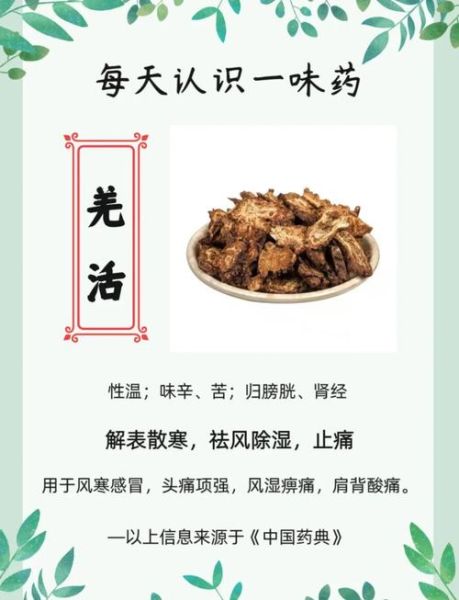 羌活的功效与作用禁忌_什么人不能吃羌活-第2张图片-山城妙识