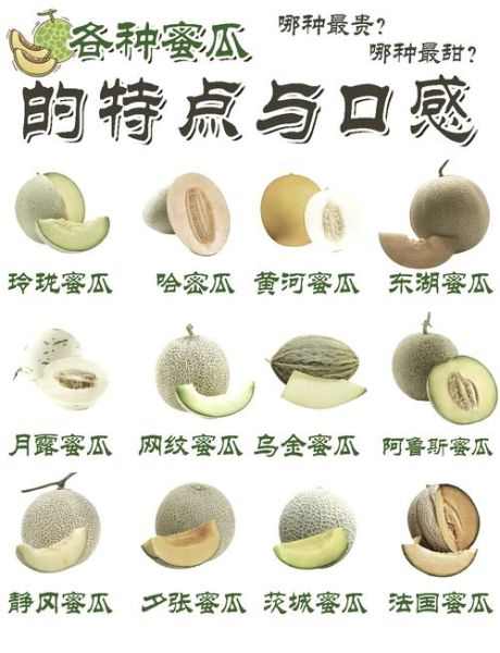 蜜瓜的营养价值_蜜瓜的功效与作用-第1张图片-山城妙识