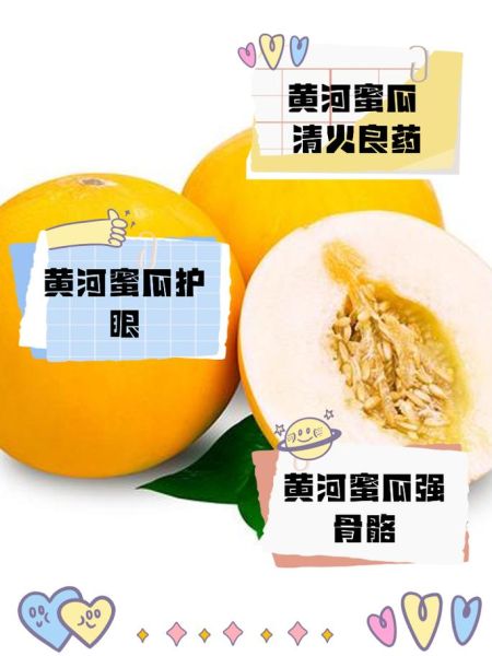 蜜瓜的营养价值_蜜瓜的功效与作用-第2张图片-山城妙识