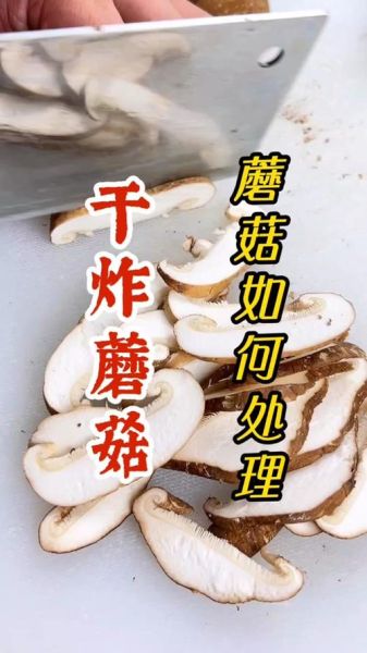 蘑菇拼音是轻声还是一声_蘑菇读音怎么读才标准-第3张图片-山城妙识 蘑菇拼音是轻声还是一声_蘑菇读音怎么读才标准-第3张图片-山城妙识