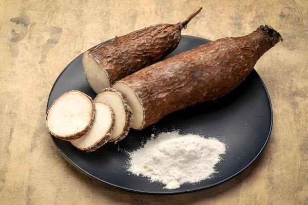 木薯粉是什么东西_木薯粉和红薯粉的区别-第3张图片-山城妙识