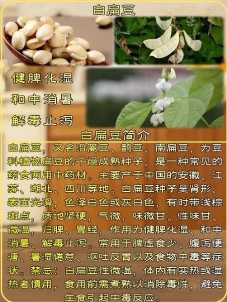 白扁豆怎么做好吃_白扁豆的家常做法大全-第1张图片-山城妙识